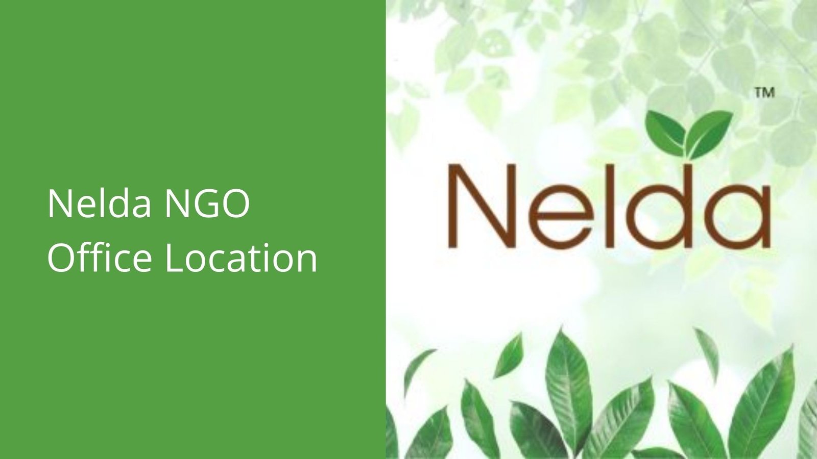 Nelda Foundation NGO Office in Pune - Sahakar Na
