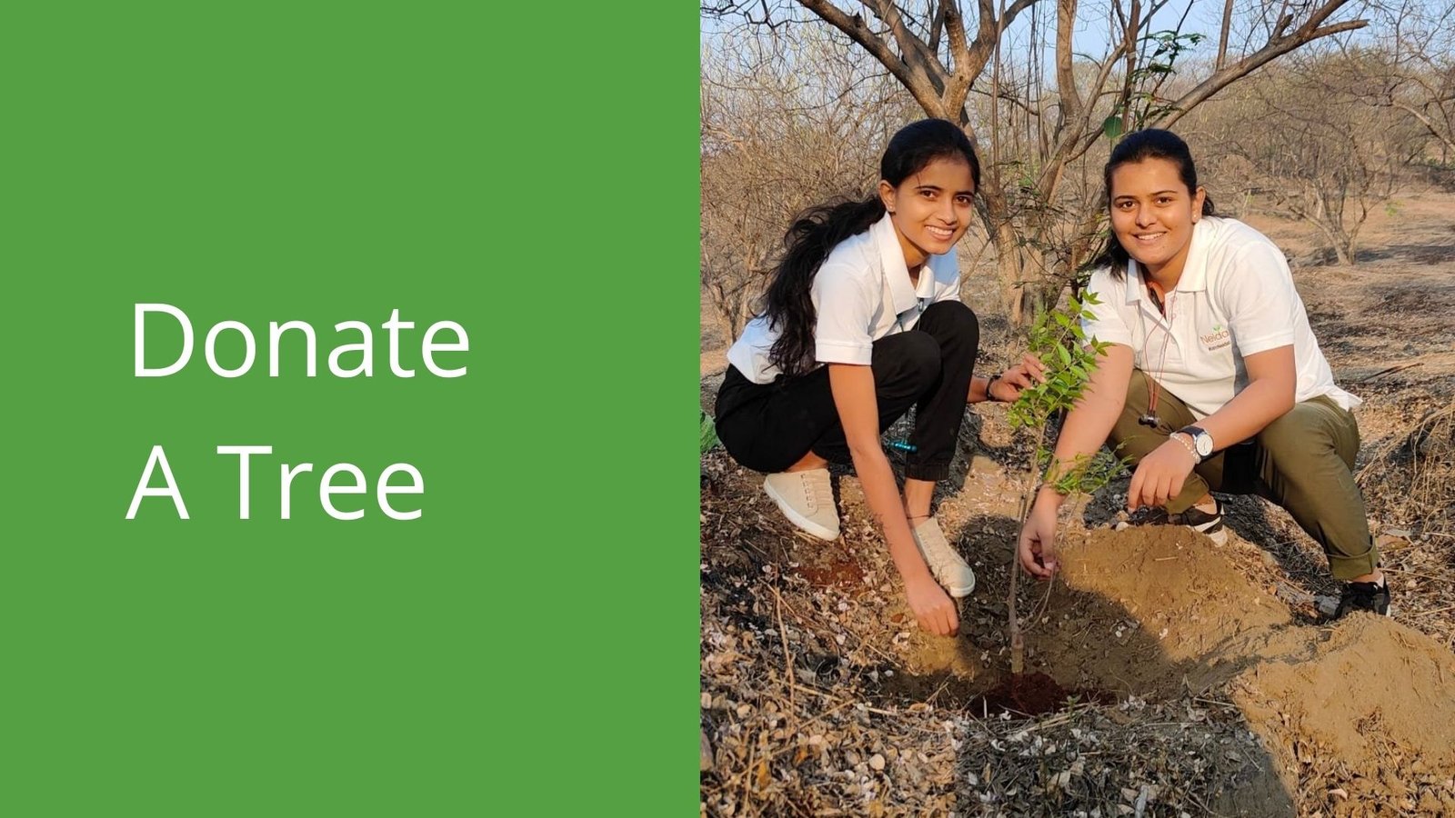 Donate or Gift a Tree - Tree Donation Services in India