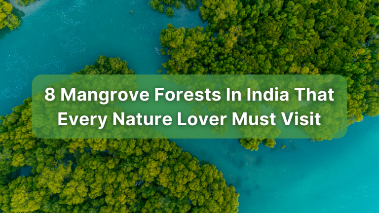 40 Common Trees in India - Uses, Benefits of Trees of India